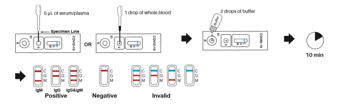 COVID-19 IgG/IgM Rapid Test - Danyel Biotech